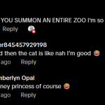 Woman Tries Befriending Cat, But Learns Why You Should "Be Careful ...