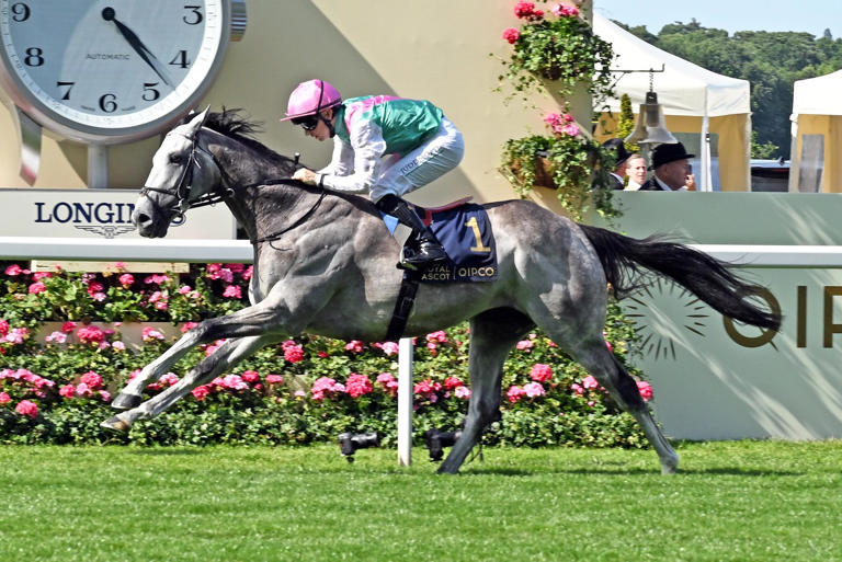 Field Of Gold is Goodwood-bound – but Sussex Stakes is no foregone ...