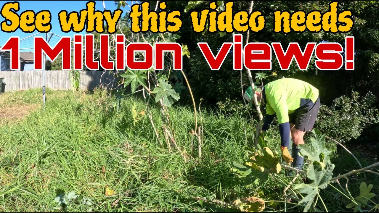 Taming a Wild Suburban Jungle — Extreme Yard Transformation