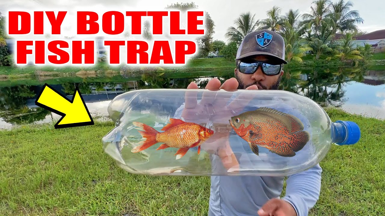 Build Your Own Fish Trap! Easy DIY with Monster Mike Fishing