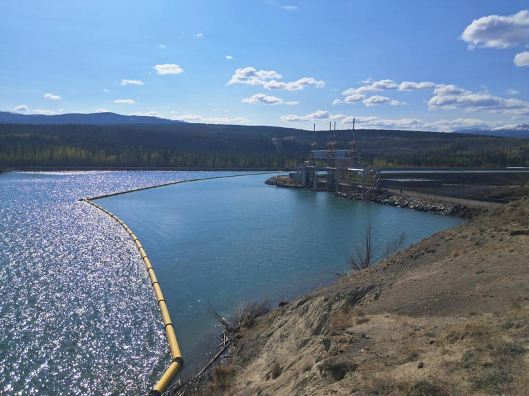 Whitehorse dam licence must account for climate change and flood risk ...