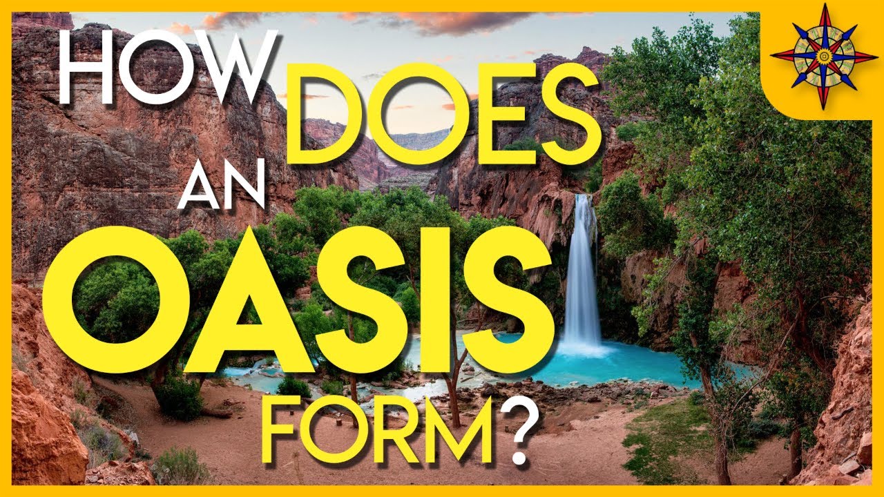 How Do Oases Form in the Middle of Deserts?