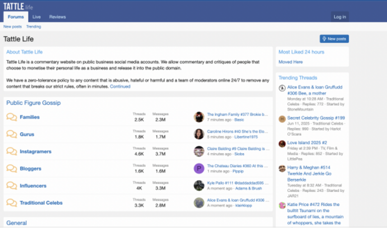 The full story of how the operator of gossip site Tattle Life was ...