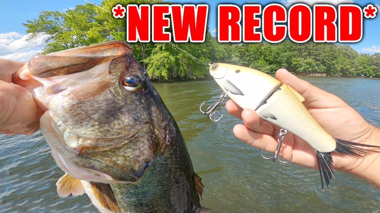 Catching biggest limit of bass ever in tournament action