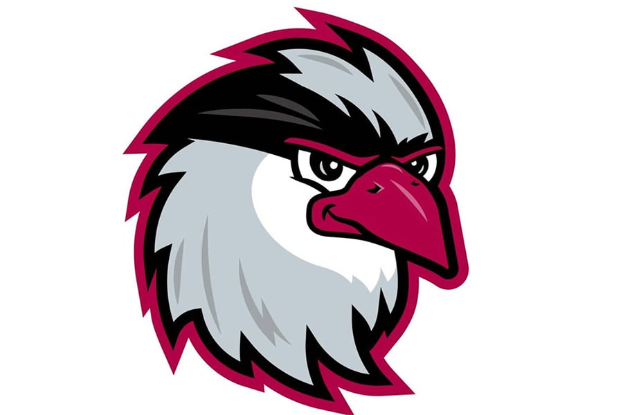 Ogden Raptors rally late to beat Chukars 9-6