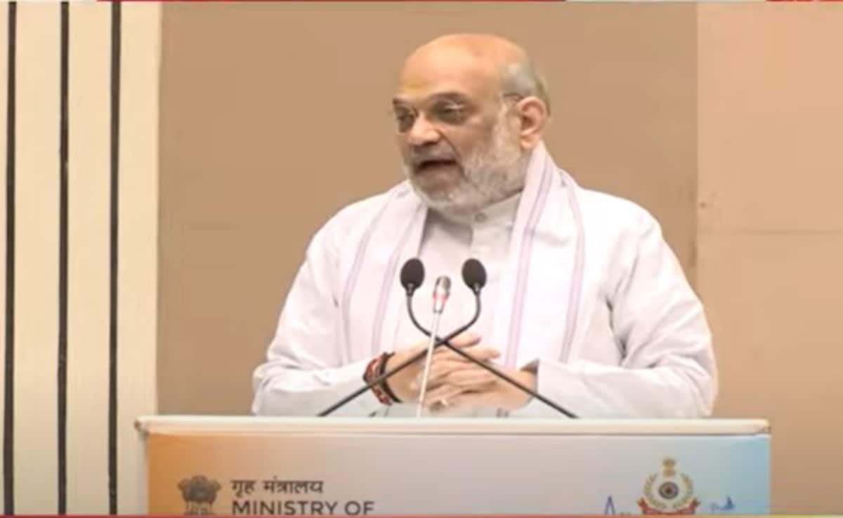 "Those Who Speak English In Country Will Soon Feel Ashamed": Amit Shah