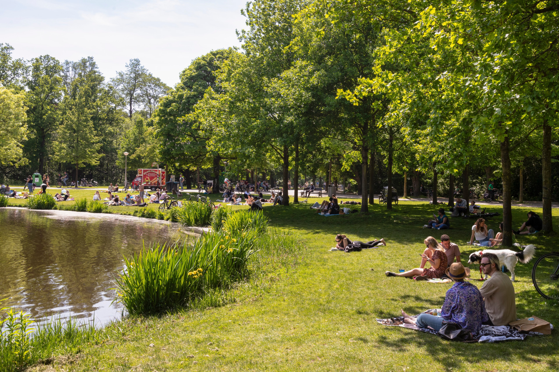 The Dutch art of doing absolutely nothing