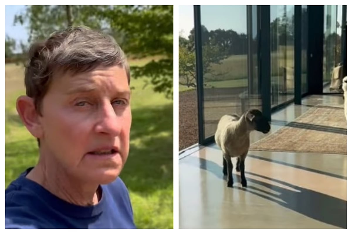 Ellen DeGeneres gives rare glimpse inside her Cotswolds home after UK move