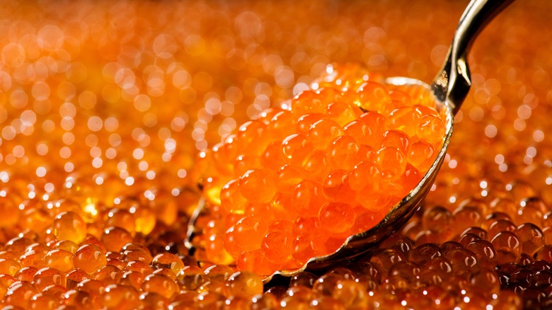 14 Longstanding Myths About Caviar, Debunked