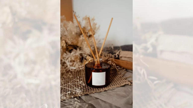 Make your home smell good all day long with scented candles, pet ...
