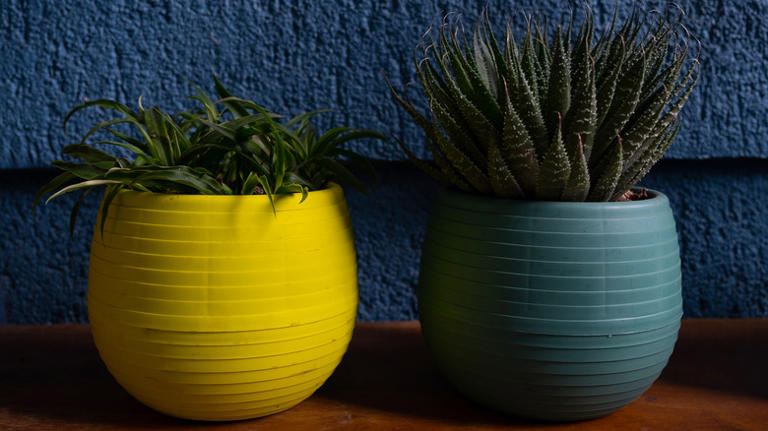 Avoid Using These Items To Fill The Bottom Of Your Large Plant Pots At ...