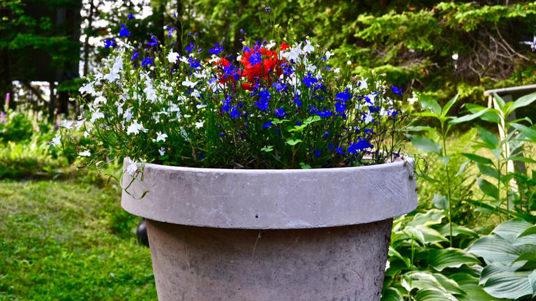 Avoid Using These Items To Fill The Bottom Of Your Large Plant Pots At ...