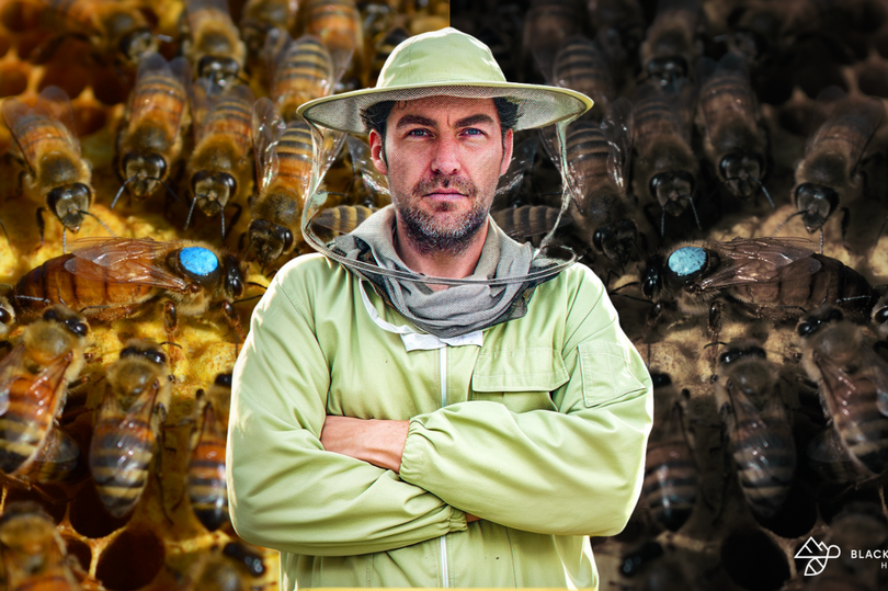 Swarm warning - keeper says you will see black clouds of 50,000 bees