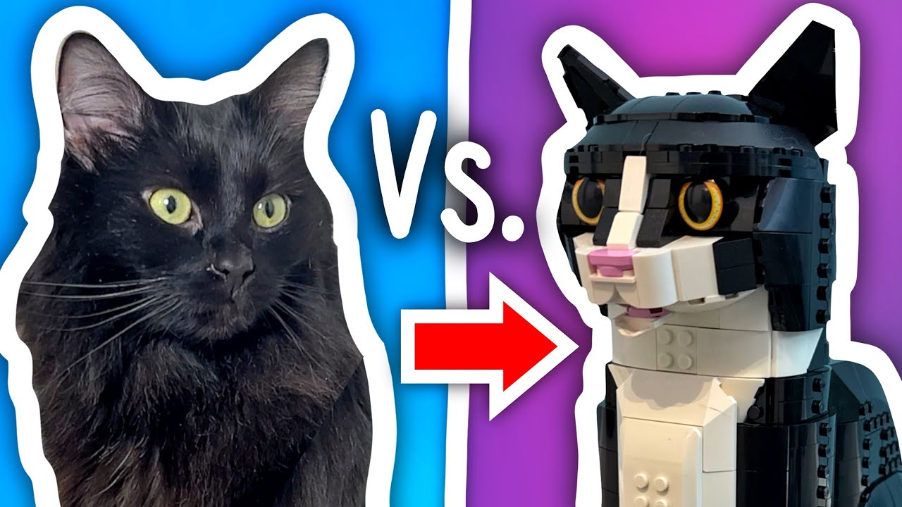 CATS Vs. LEGO Challenge!