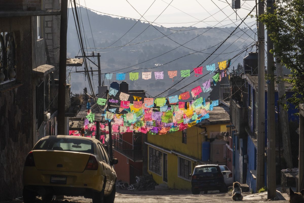 The countries where people are most at risk of rabies and what you need ...