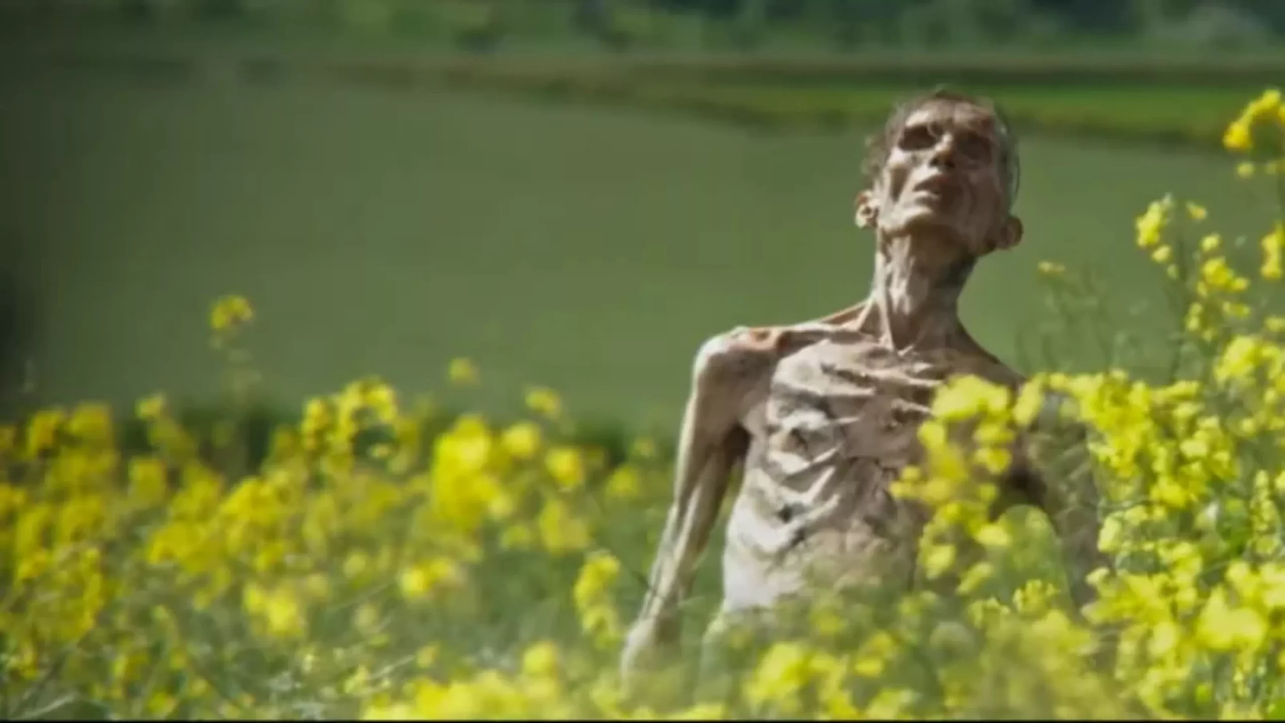 „28 Years Later“: Alles, was man über das Rage-Virus wissen muss