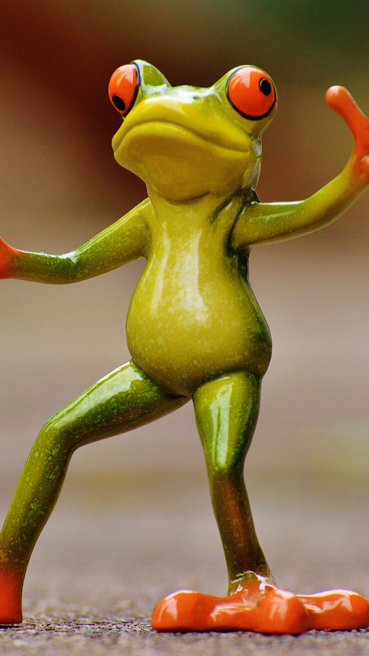 9 most colourful frogs to exist in the wild