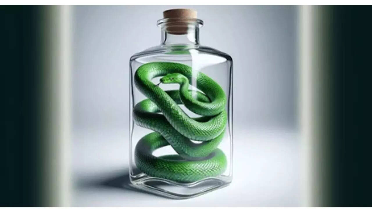 Snake bites man, he captures it in a bottle and takes it to the ...