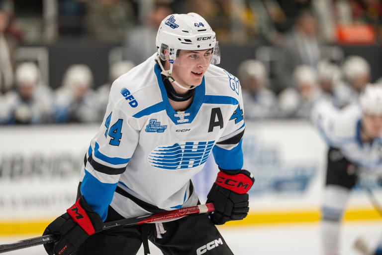 Brady Martin could be the next Sam Bennet. Could that entice Bruins to ...
