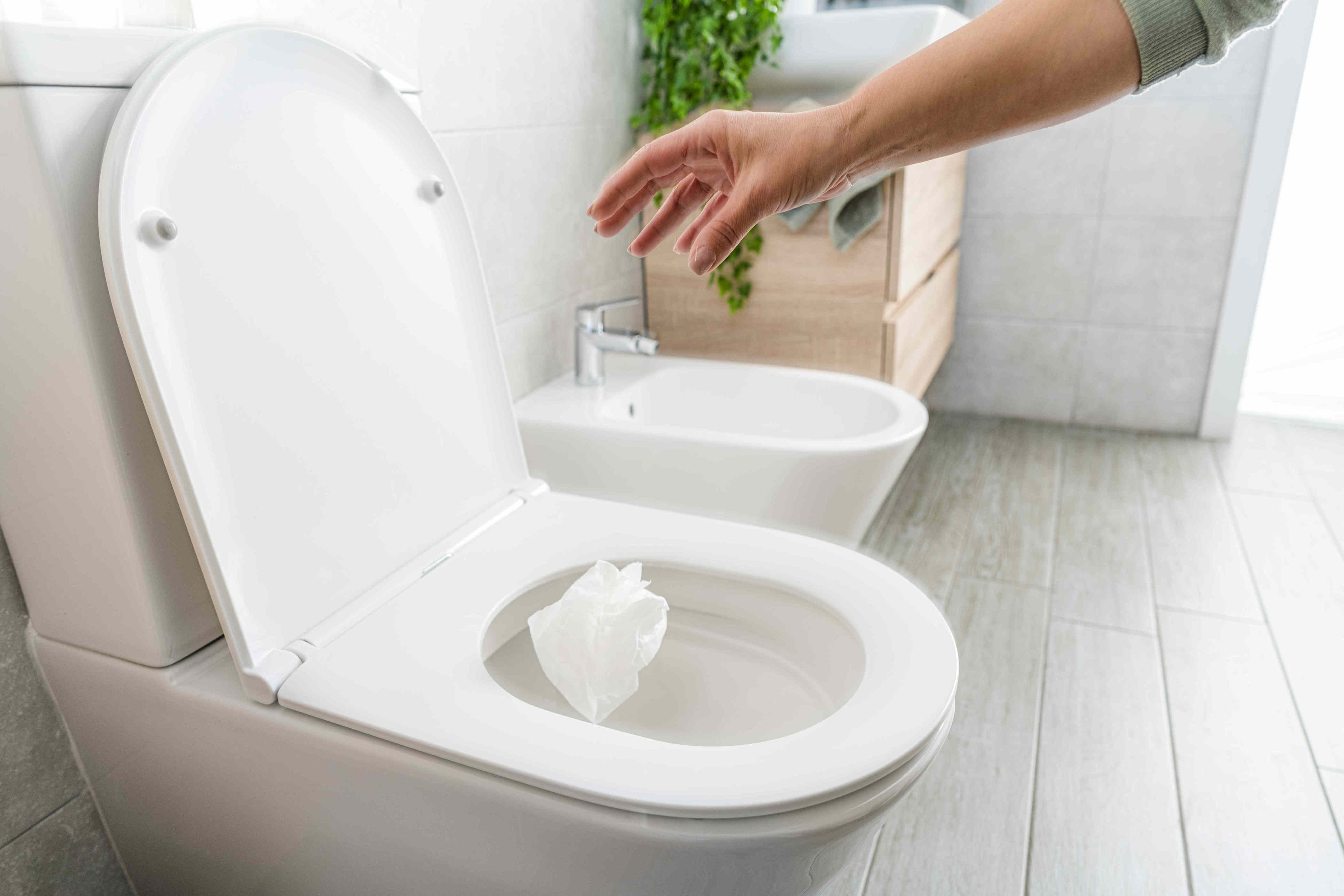 We Asked a Plumber for the Worst Thing You Can Flush Down a Toilet and ...