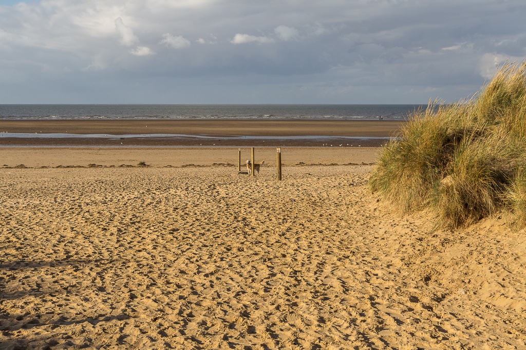 Best beaches: 9 beautiful beaches within a 3-hour drive of ...