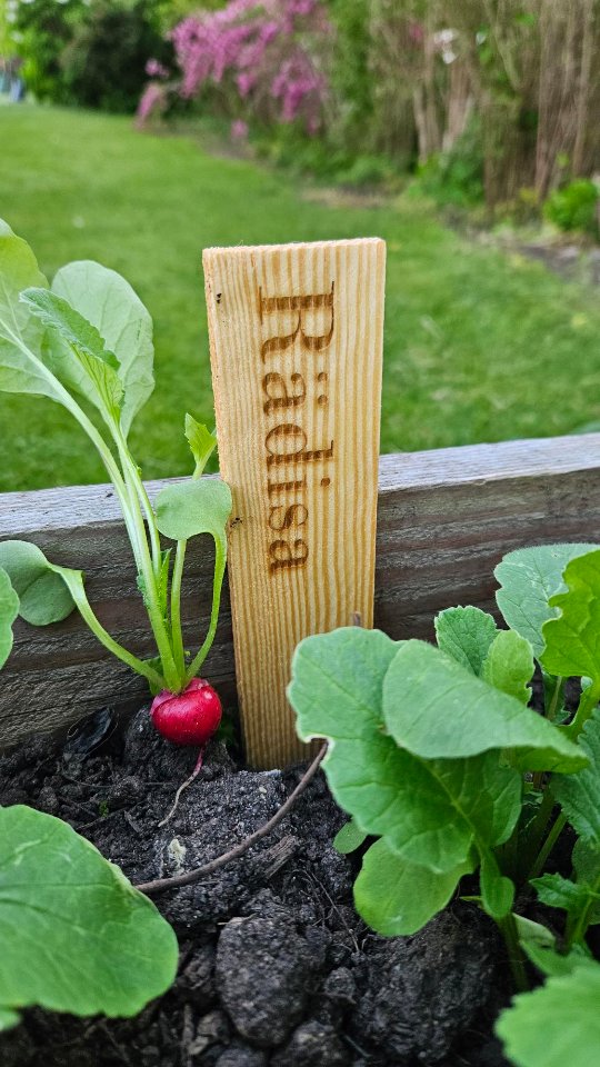 Which Plant Do You Label First in the Chaos Garden