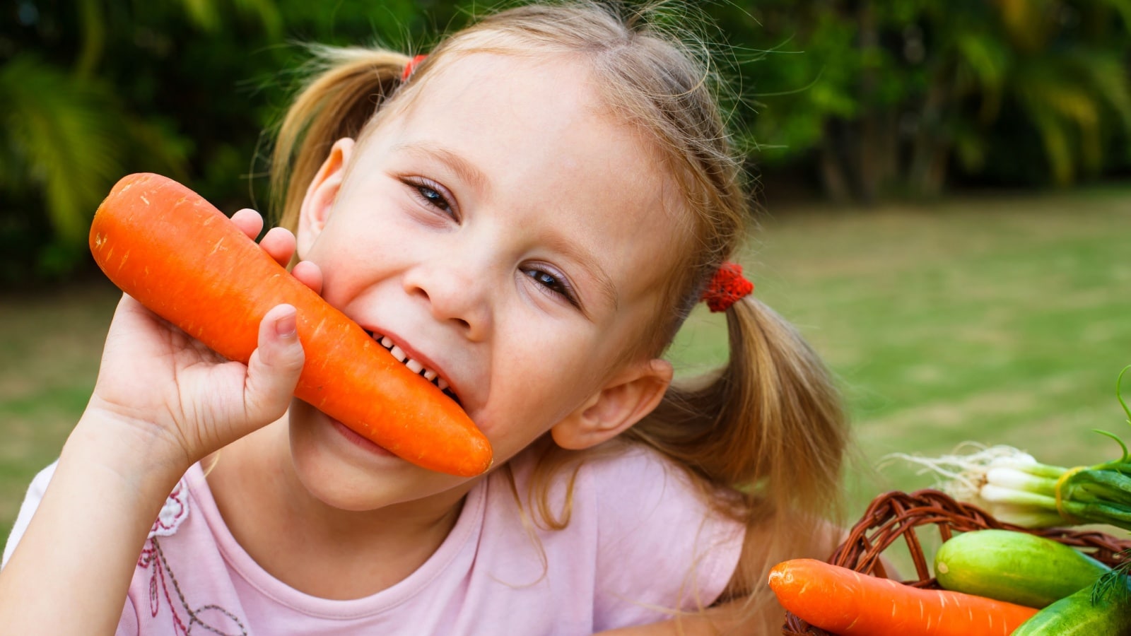 19 Myths People Still Believe Even Though Science Debunked Them