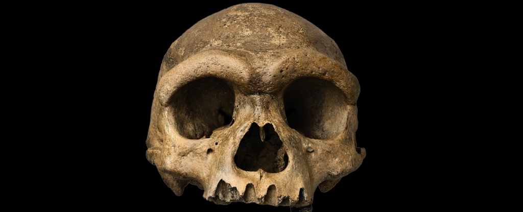 1930s 'Dragon Man' Finally Gives Elusive Ancient Human Species a Face