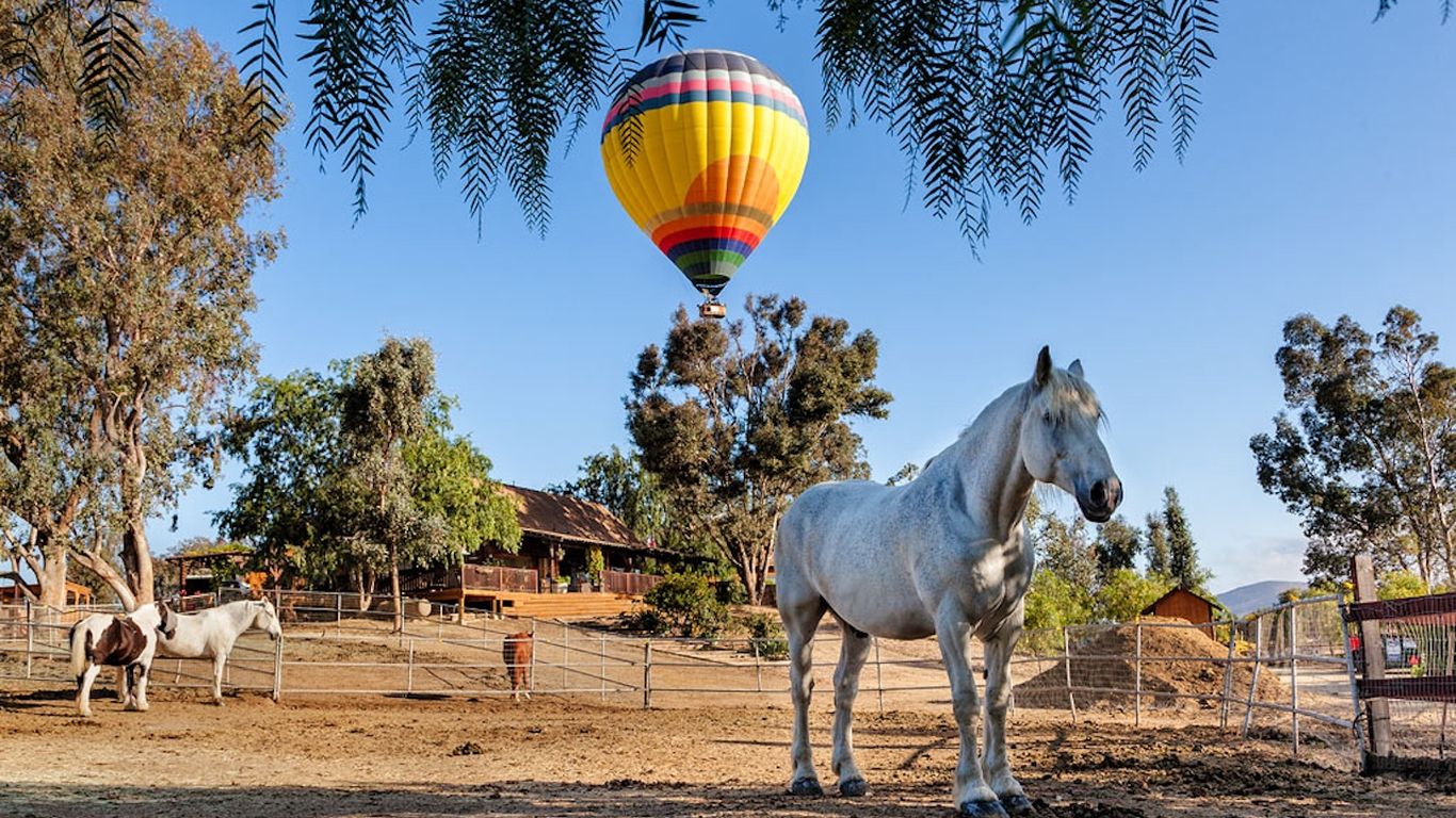 Wine, hot air balloons and country music stars. Temecula Valley's big summer festival is jam packed.