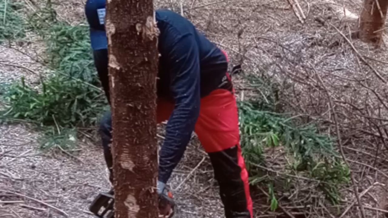 Woodcutter uses angled cuts to slide logs on a metal plate