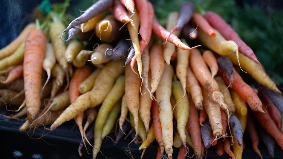 Sacramento program helps families pay for groceries. How it works, who ...