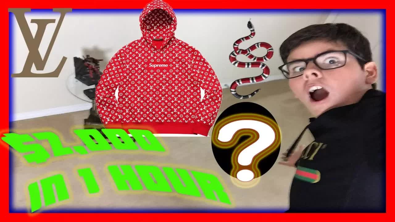 INSANE SHOPPING SPREE $2,000+ NEW FAMILY MEMBER(Vlog #9)