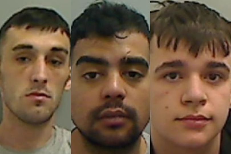 Three killers who chased down and attacked Lewis Bell 'over £20 theft ...