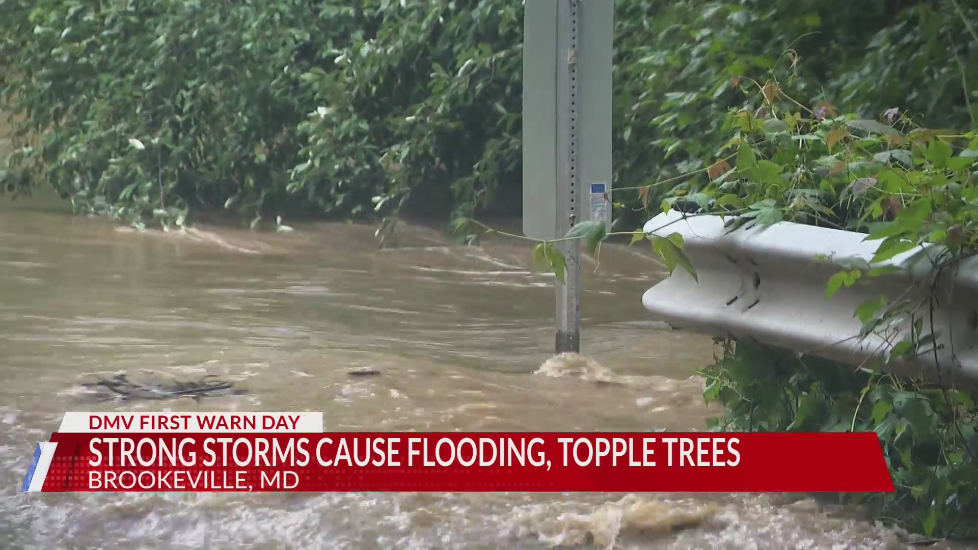 Strong storms cause flooding, topple trees