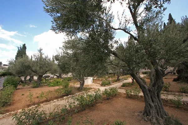 16 Monastery Retreats Open to All Visitors