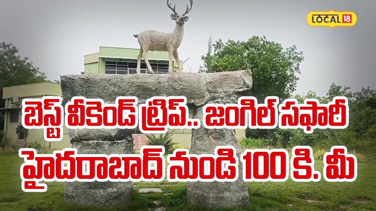 Pocharam Sanctuary A Nature Lover’s Delight | పోచారం అభయారణ్యం | #Local18V