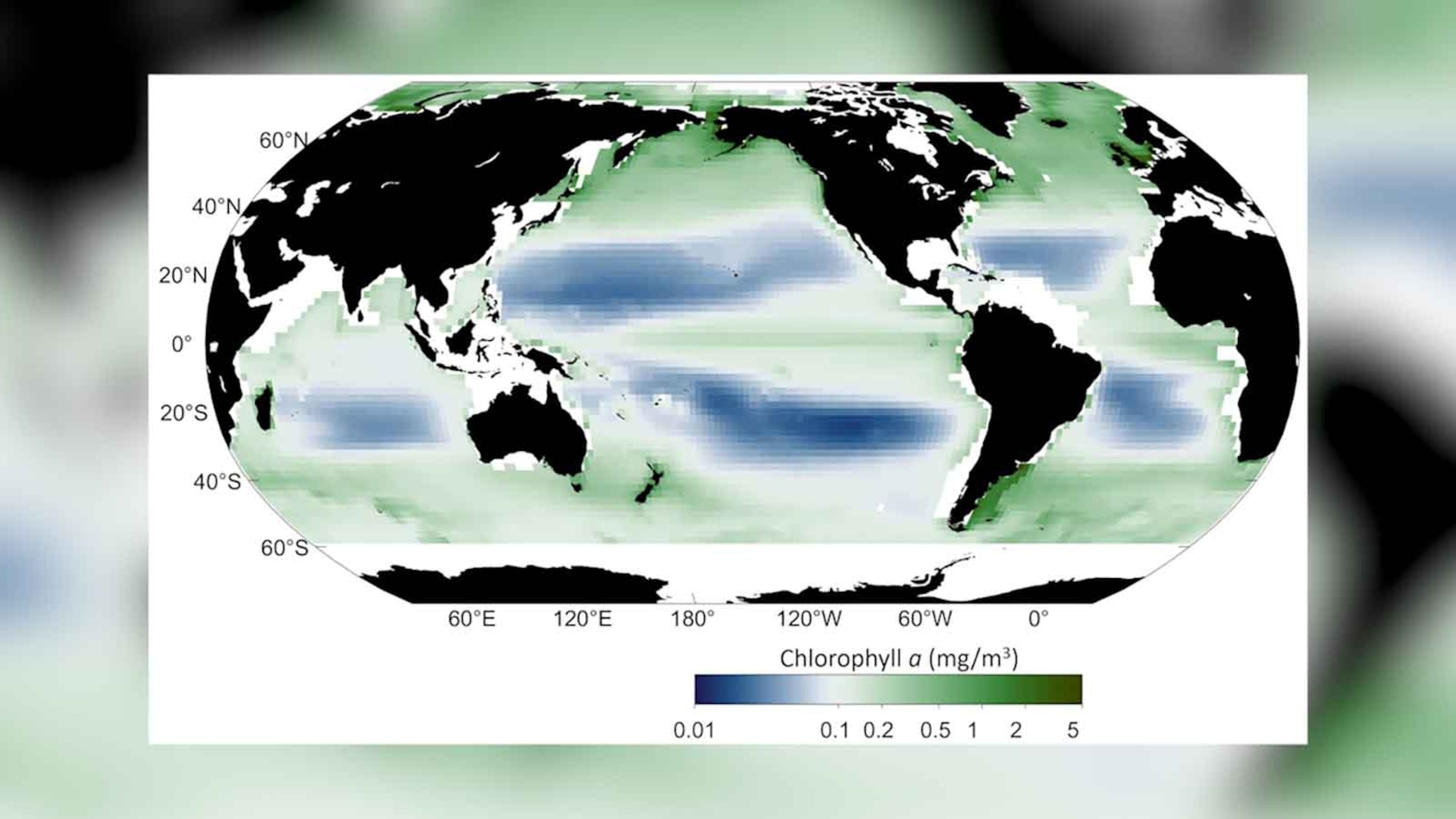 The ocean is changing colors, researchers say. Here's what it means.