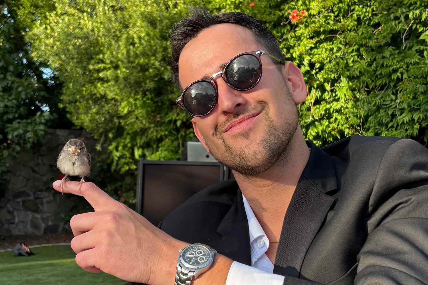 'Random' Bird Lands on Groomsman at Wedding, Watches Bride and Groom's ...