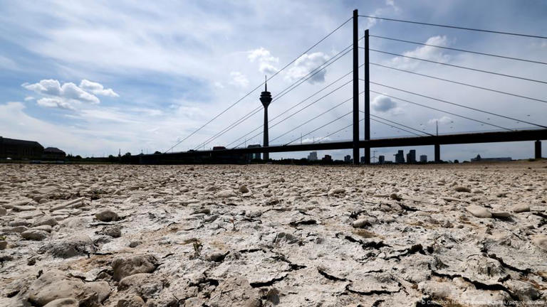 'Crunch time' for climate action, scientists warn