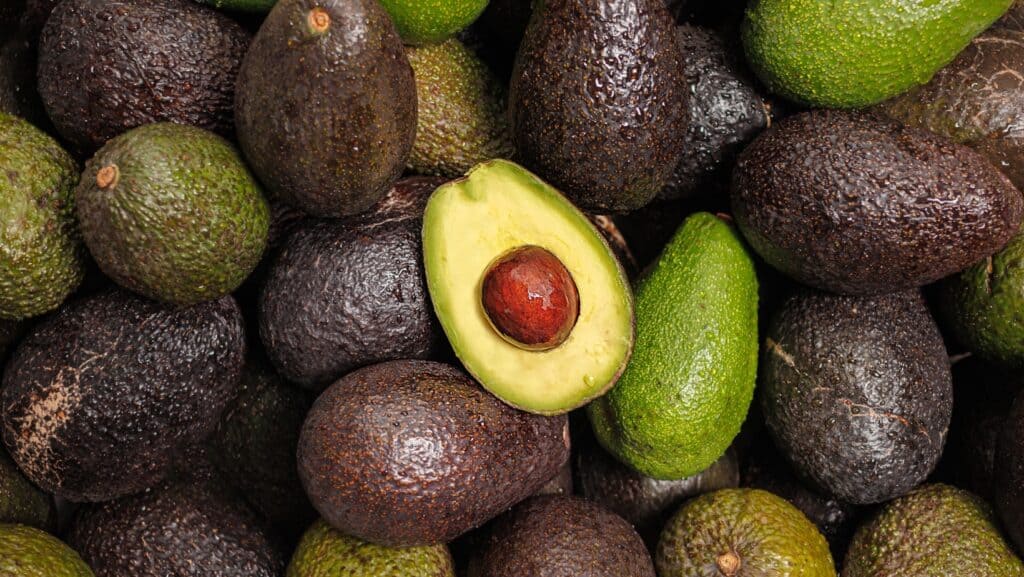 How Avocados Took Over the World (and Why Your Body Might Thank You)