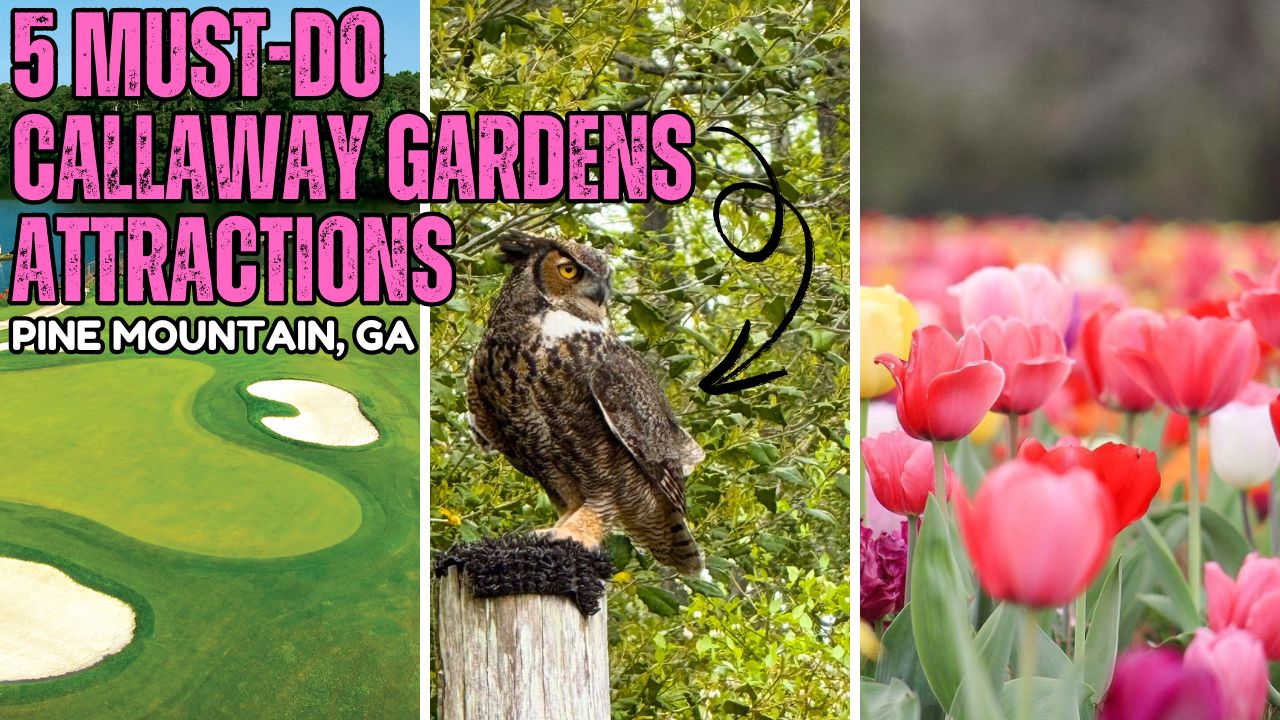 Top 5 Must-Do Callaway Resort & Gardens Attractions