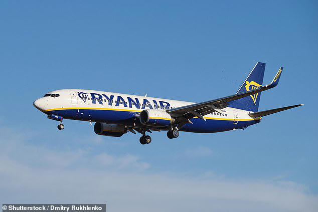 Ryanair demands urgent intervention as hours-long delays and missed ...