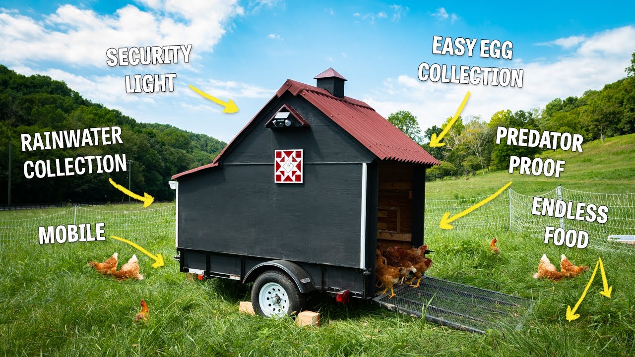 No more Chicken Chores! Self Cleaning, Safe Coop with automatic Water ...