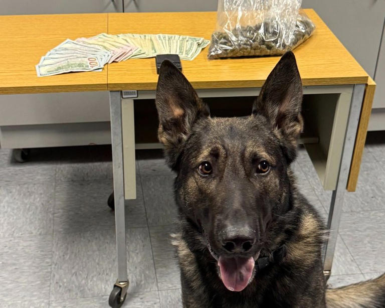 190+ grams of marijuana, nearly $1,500 cash found during traffic stop ...
