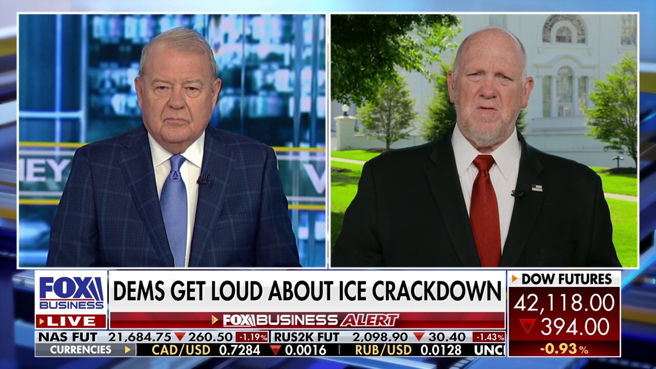 Homan slams Dems over ICE crackdown reaction: 'I don't think this is a ...