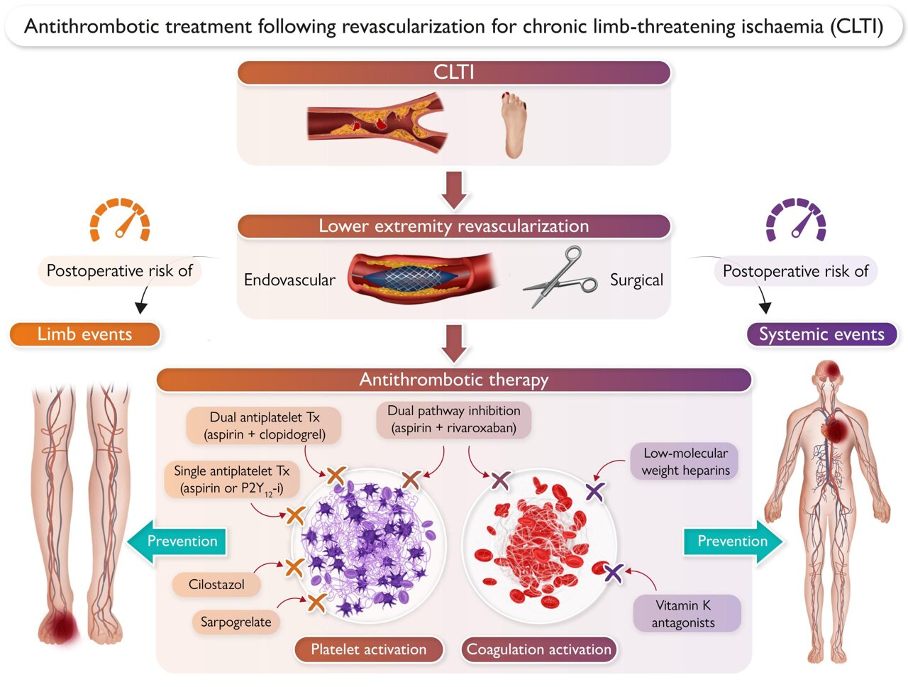 Researchers advocate for stronger blood clot prevention measures after ...
