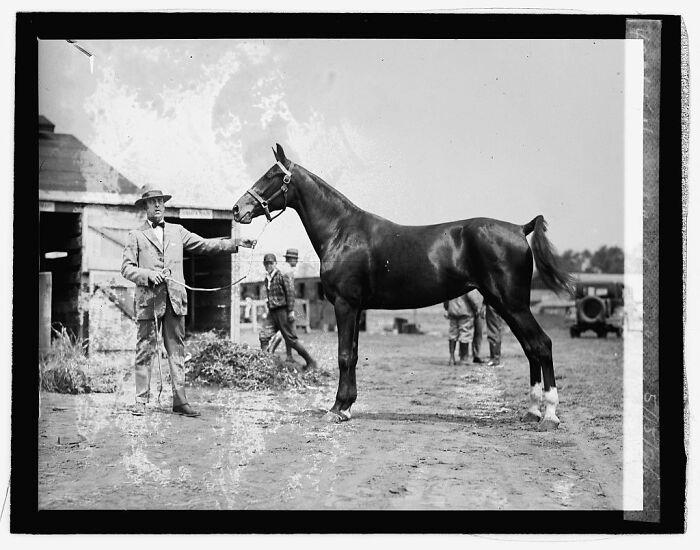 50+ Vintage Images Caught On Camera With Glass Negatives