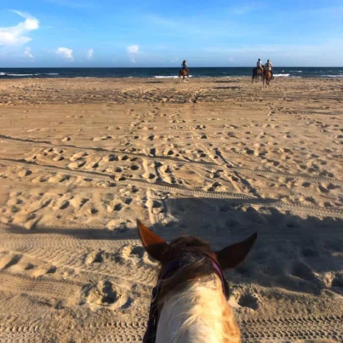 10 Adventures You Need to Try in the Outer Banks