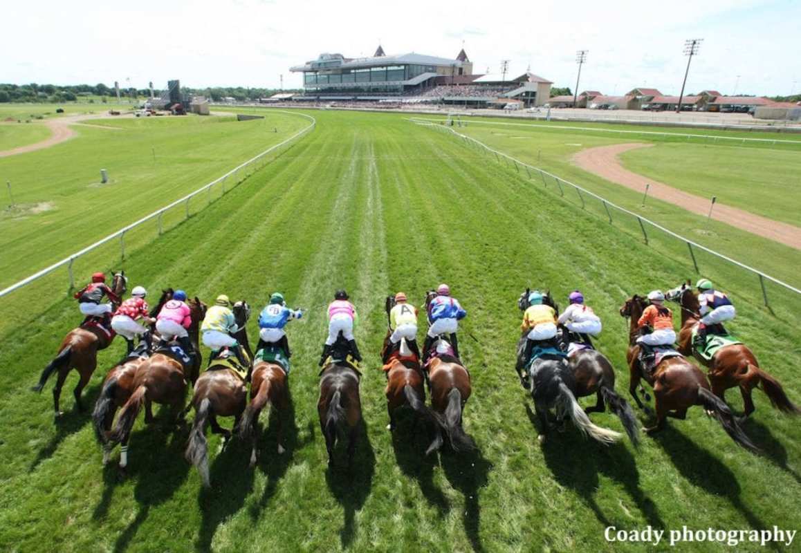 Canterbury Park's Northern Stars Turf Festival Features Three Grass Stakes