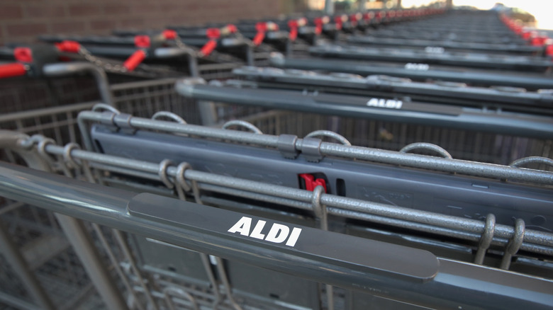 No Quarter, No Problem: Unlock Aldi Shopping Carts With One Tool